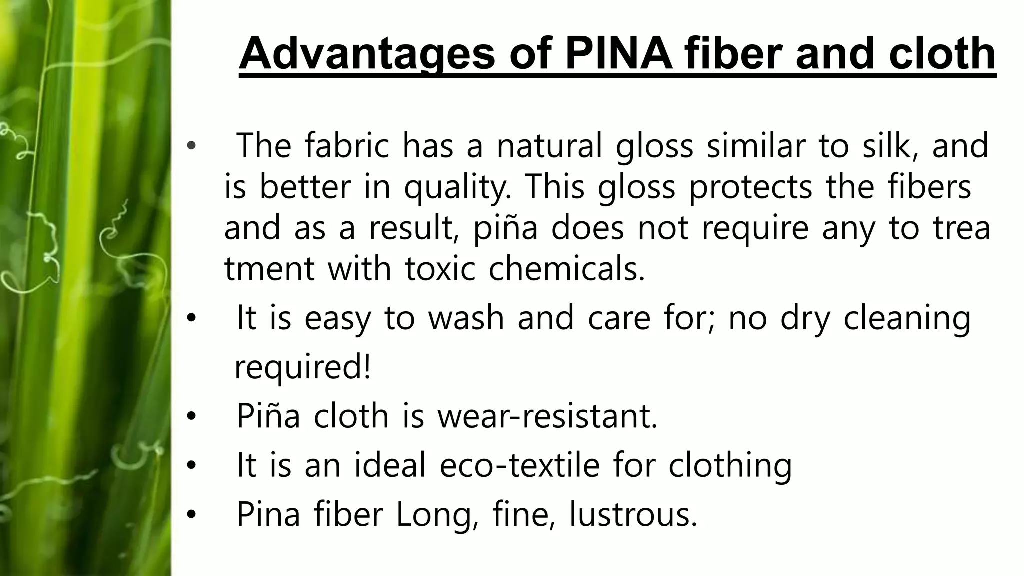 PINA FIBER | PPTX