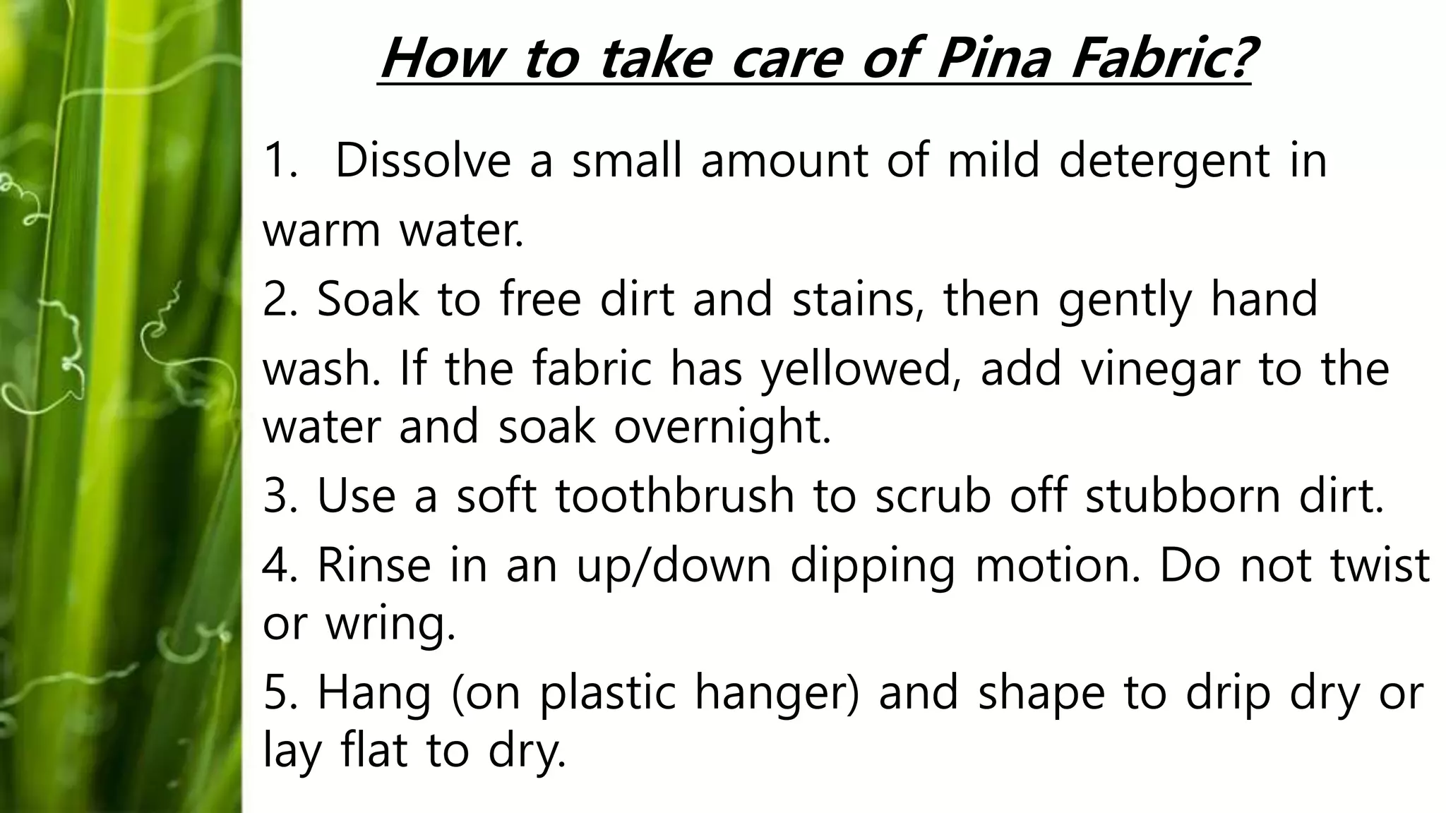 PINA FIBER | PPTX