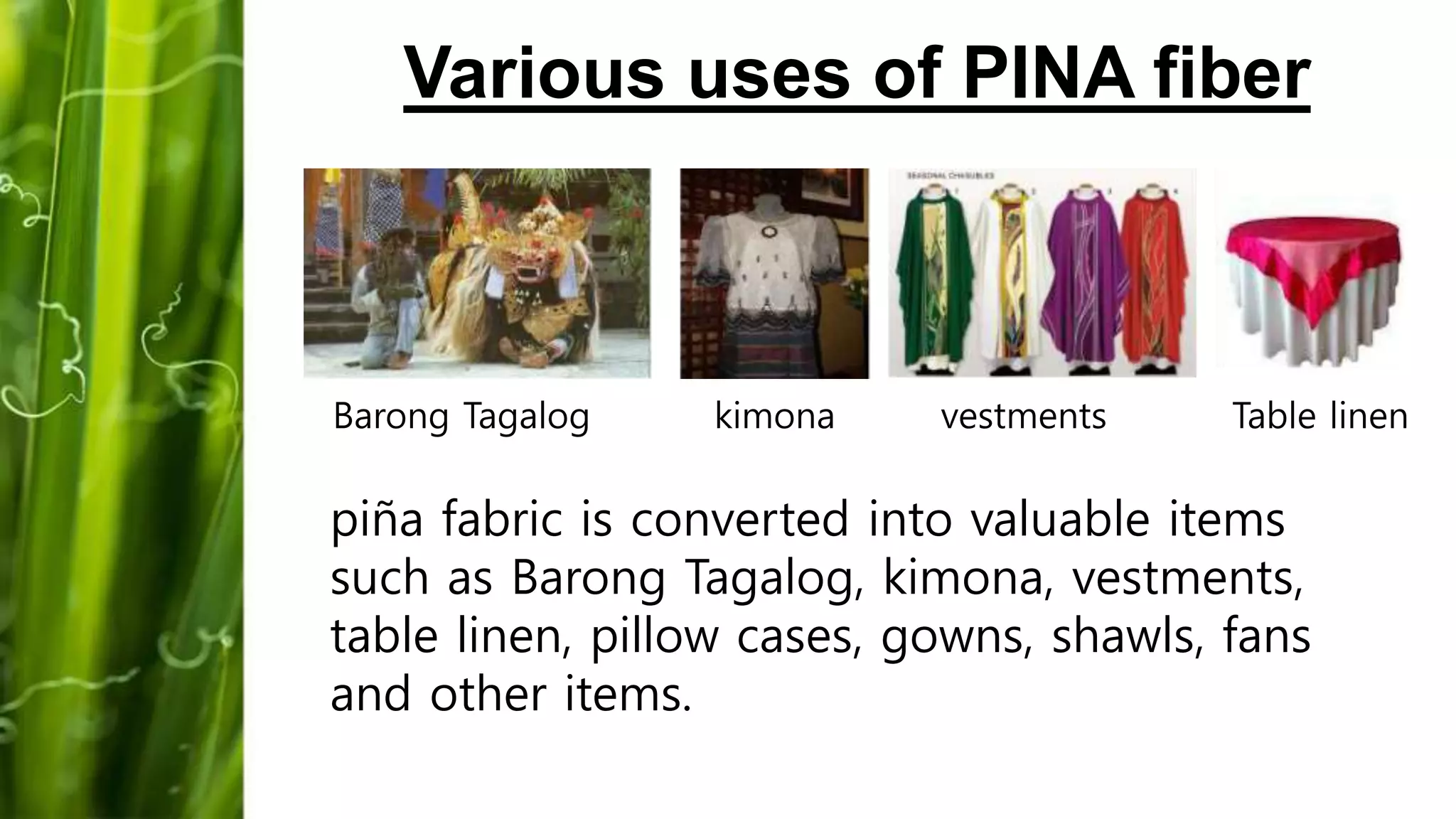 PINA FIBER | PPTX