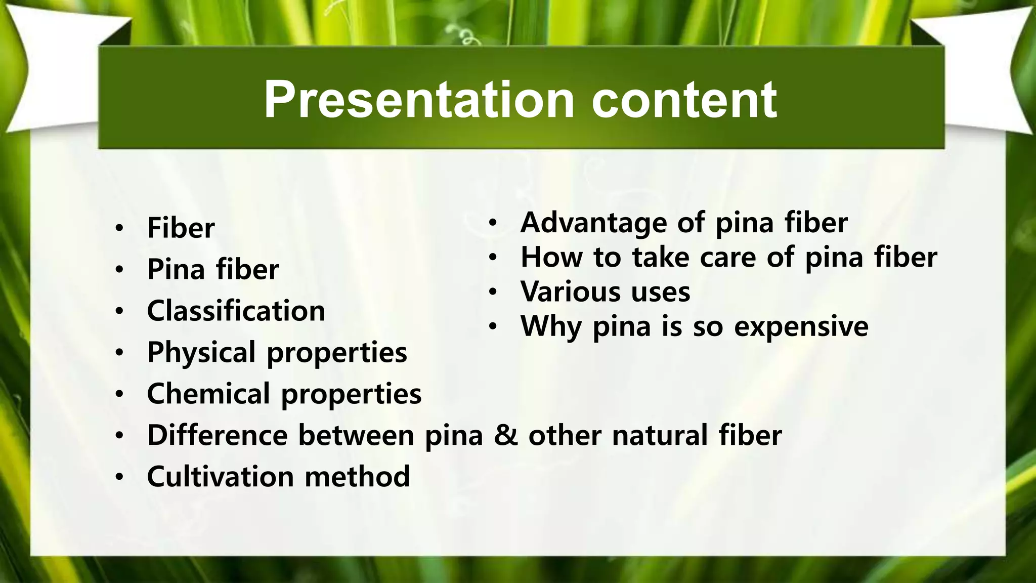 PINA FIBER | PPTX