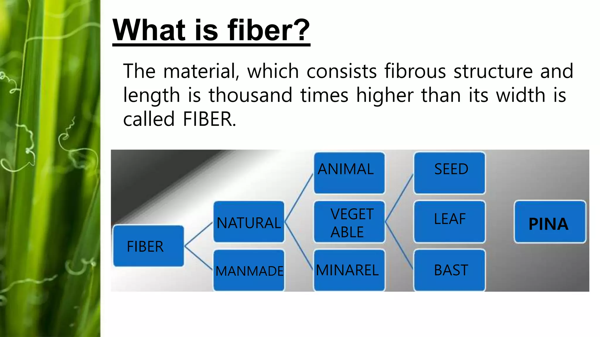 PINA FIBER | PPTX