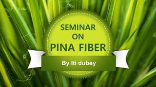 PINA FIBER | PPTX