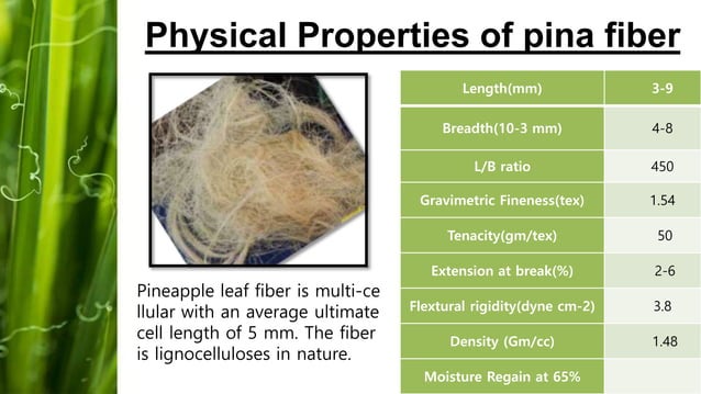 PINA FIBER | PPTX