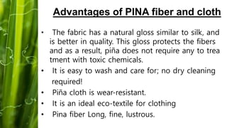 PINA FIBER | PPTX