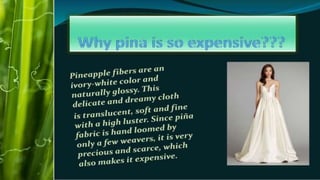 PINA FIBER | PPTX