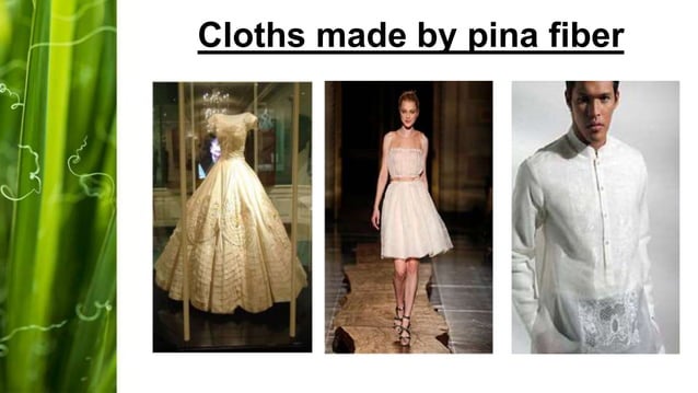 PINA FIBER | PPTX