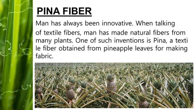PINA FIBER | PPTX