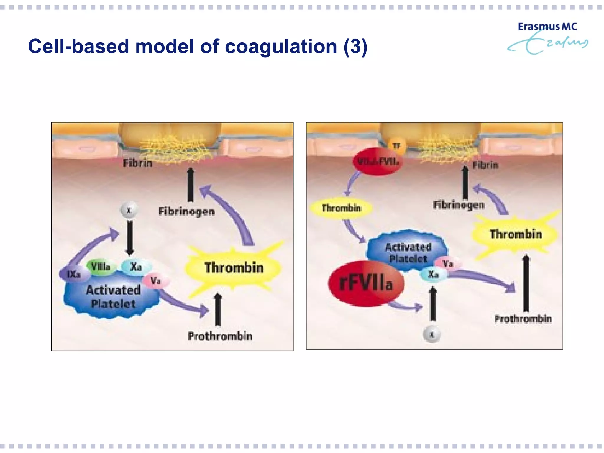 Management of coagulation and transfusion therapy in cardiothoracic ...