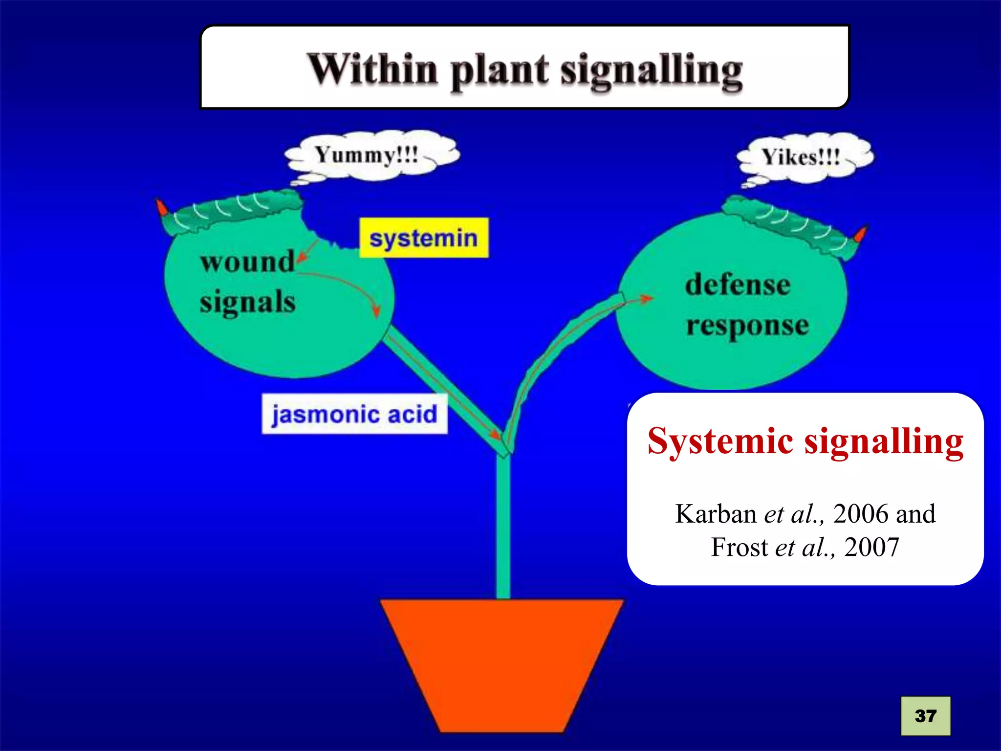 Tritrophic Interactions Mediated By Herbivore Induced Plant Volatiles