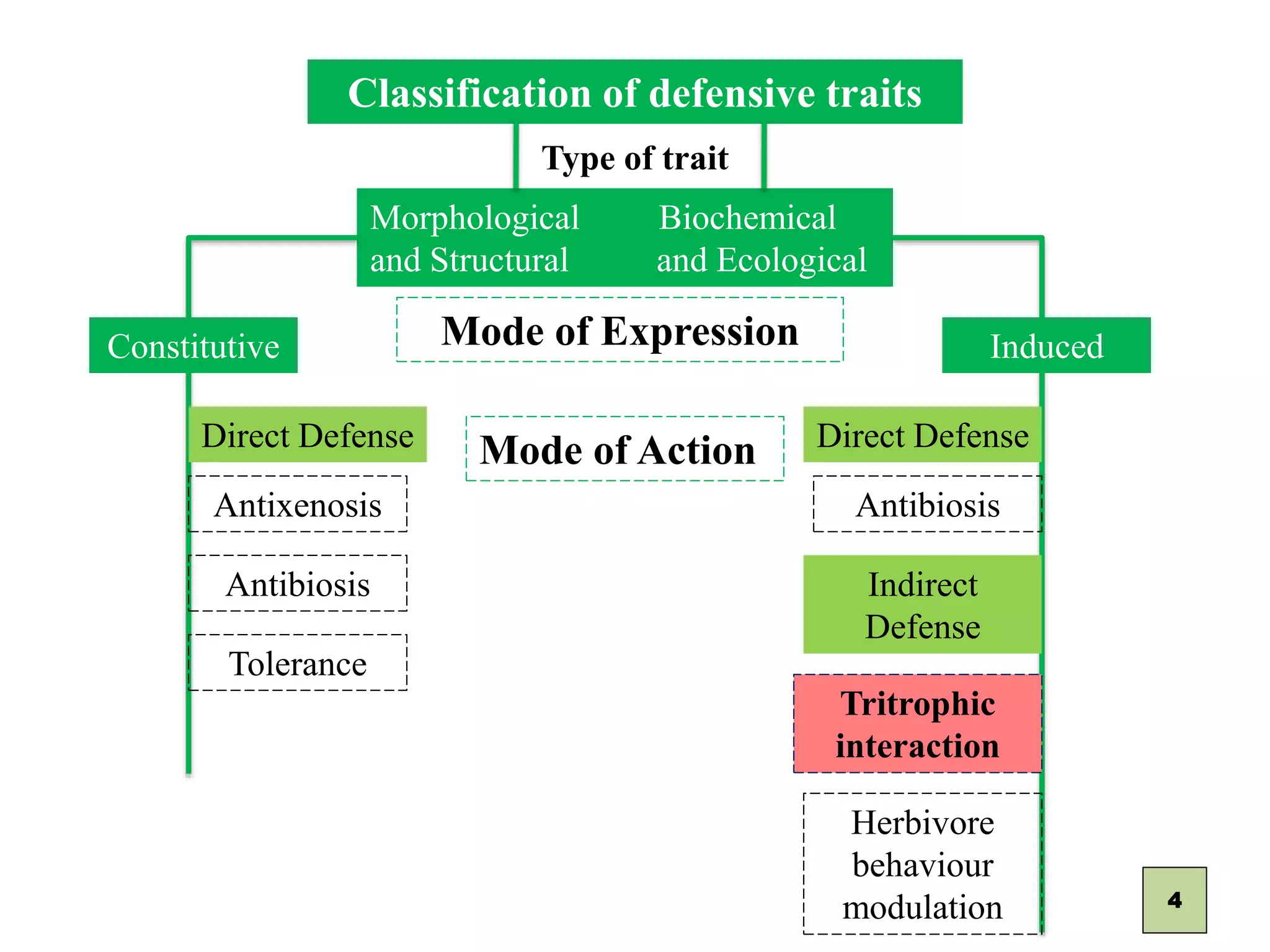Tritrophic Interactions Mediated By Herbivore Induced Plant Volatiles ...