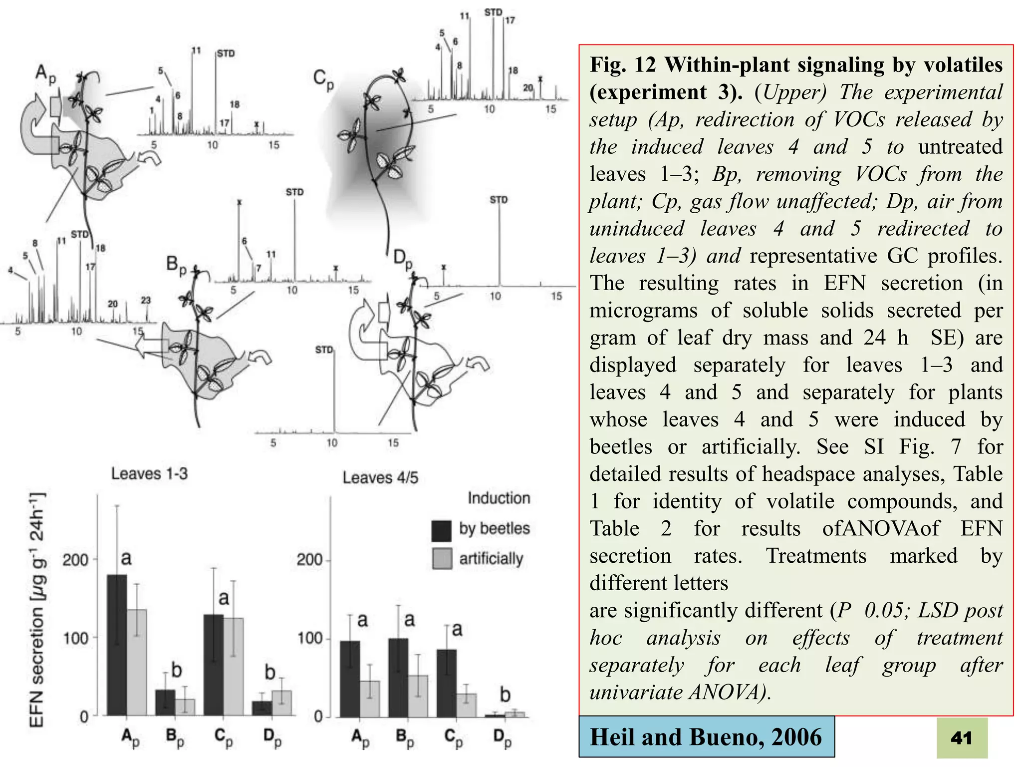 Tritrophic Interactions Mediated By Herbivore Induced Plant Volatiles ...