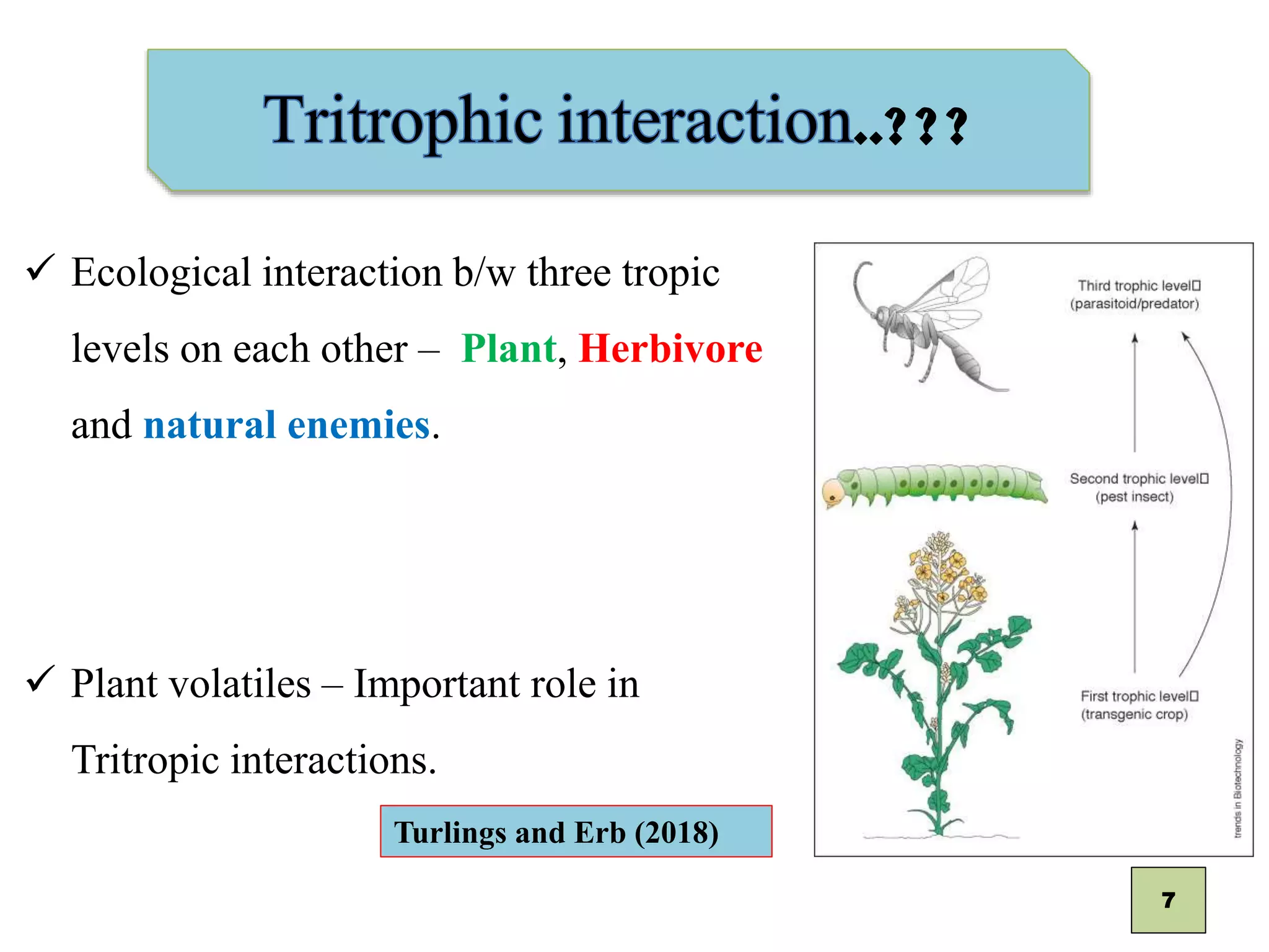 Tritrophic Interactions Mediated By Herbivore Induced Plant Volatiles ...