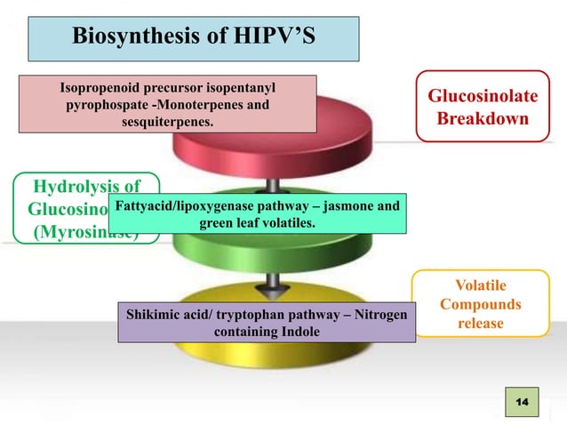 Tritrophic Interactions Mediated By Herbivore Induced Plant Volatiles ...