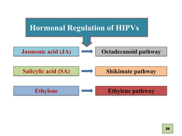 Tritrophic Interactions Mediated By Herbivore Induced Plant Volatiles ...