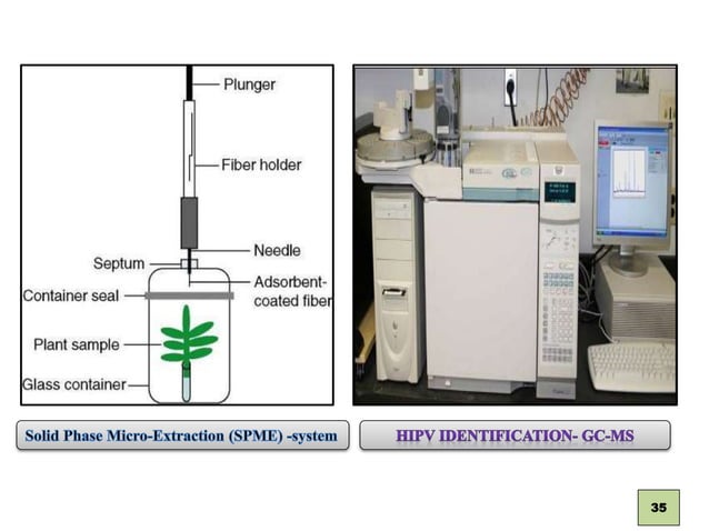 Tritrophic Interactions Mediated By Herbivore Induced Plant Volatiles ...