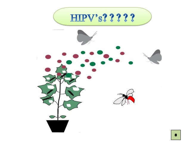 Tritrophic Interactions Mediated By Herbivore Induced Plant Volatile…
