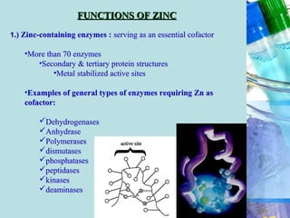 trace minerals, Zn, Co | PPT