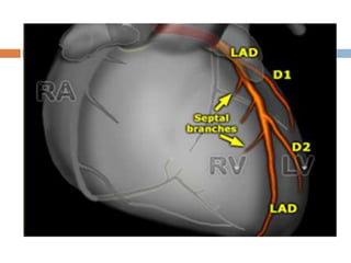 What Are The Branches Of The Lad