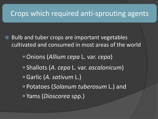 Anti - Sprouting Agents Status & Future | PPTX