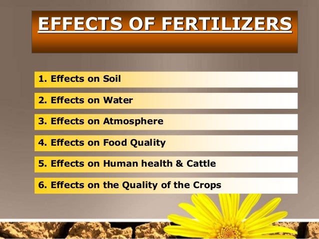 Harmful Effects Of Fertilizers