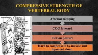 Effects Of Aging on Spine | PPTX