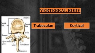Effects Of Aging on Spine | PPTX