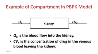 Physiologically Based Pharmacokinetic (PBPK) modeling of Nanoparticles ...