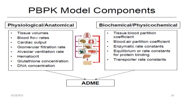 Physiologically Based Pharmacokinetic (PBPK) modeling of Nanoparticles