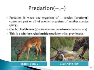 Species Interaction | PPTX