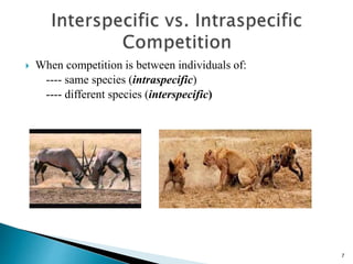 Inter And Intraspecific Competition