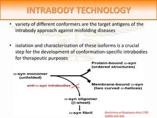 Therapeutic approaches to Protein Misfolding Diseases | PPT