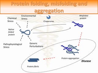 Therapeutic approaches to Protein Misfolding Diseases | PPT