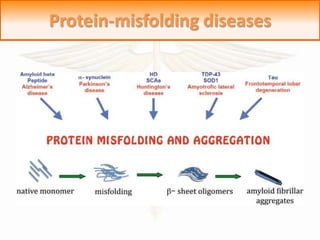 Therapeutic approaches to Protein Misfolding Diseases | PPTX