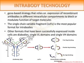 Therapeutic approaches to Protein Misfolding Diseases | PPT
