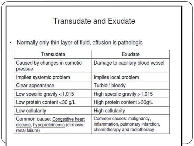 Effusion cytology - Diagnosis.