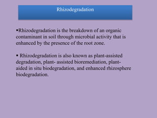 Phytoremediation | PPTX