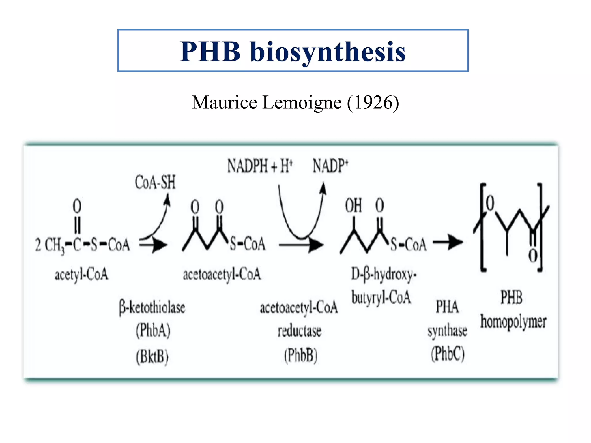 PHB production by bacteria and its applications | PPTX