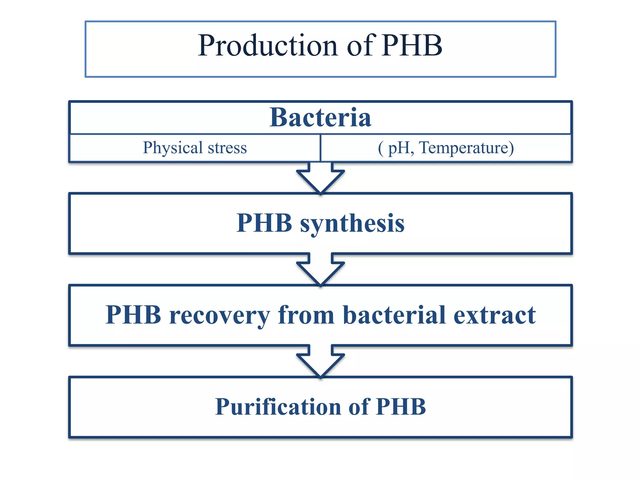 PHB production by bacteria and its applications | PPTX