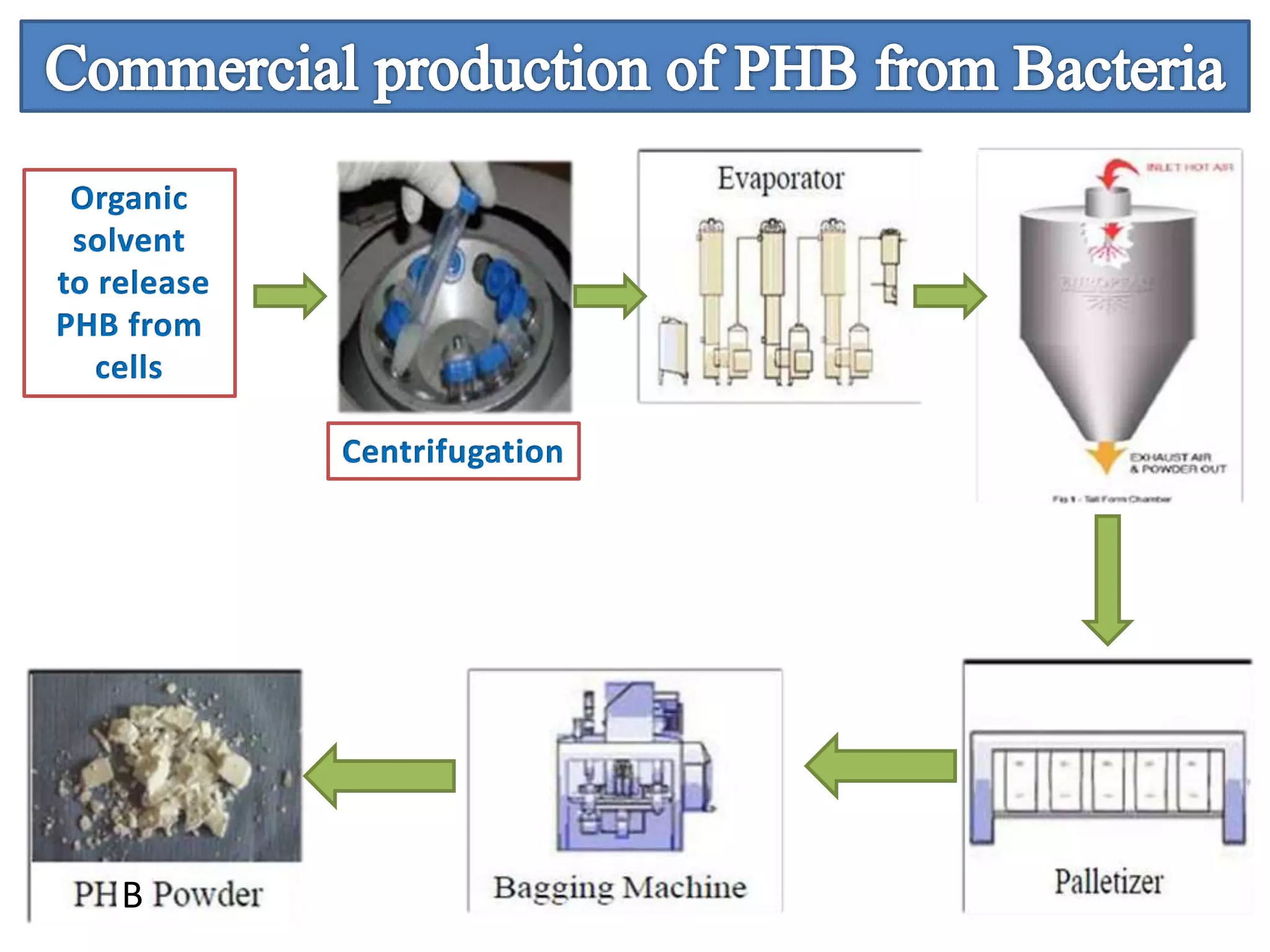 PHB production by bacteria and its applications | PPTX