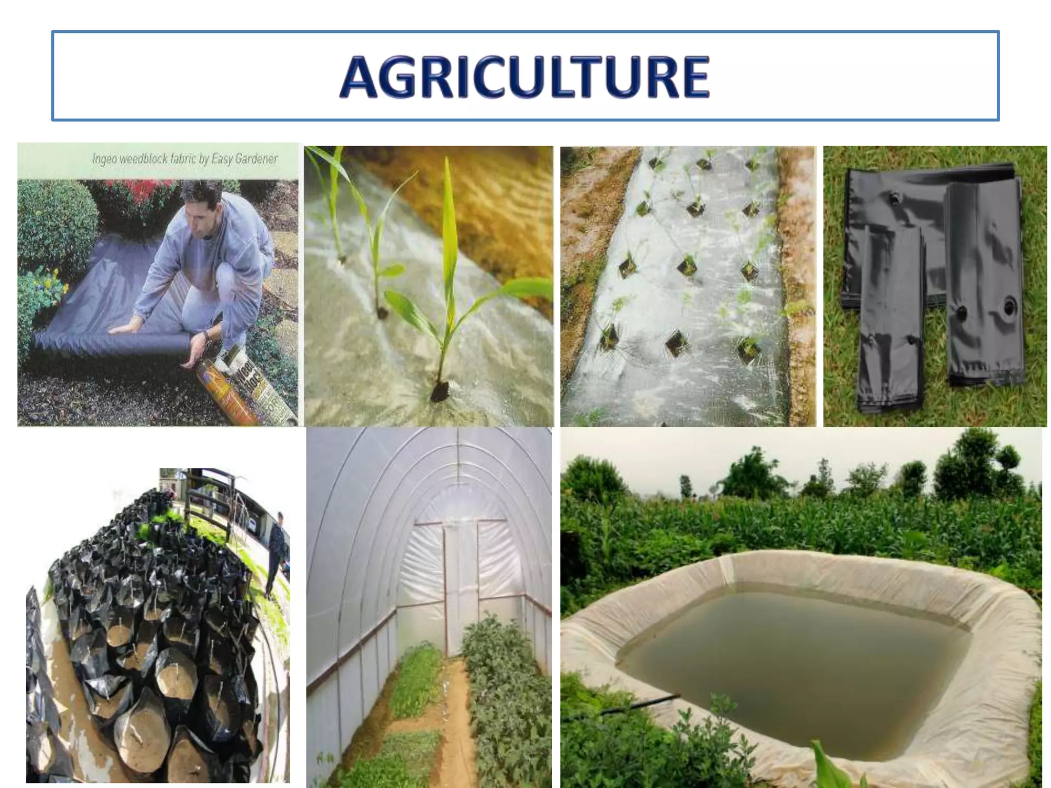 PHB production by bacteria and its applications | PPTX