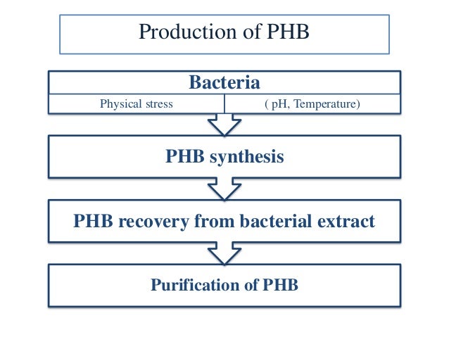 PHB production by bacteria and its applications