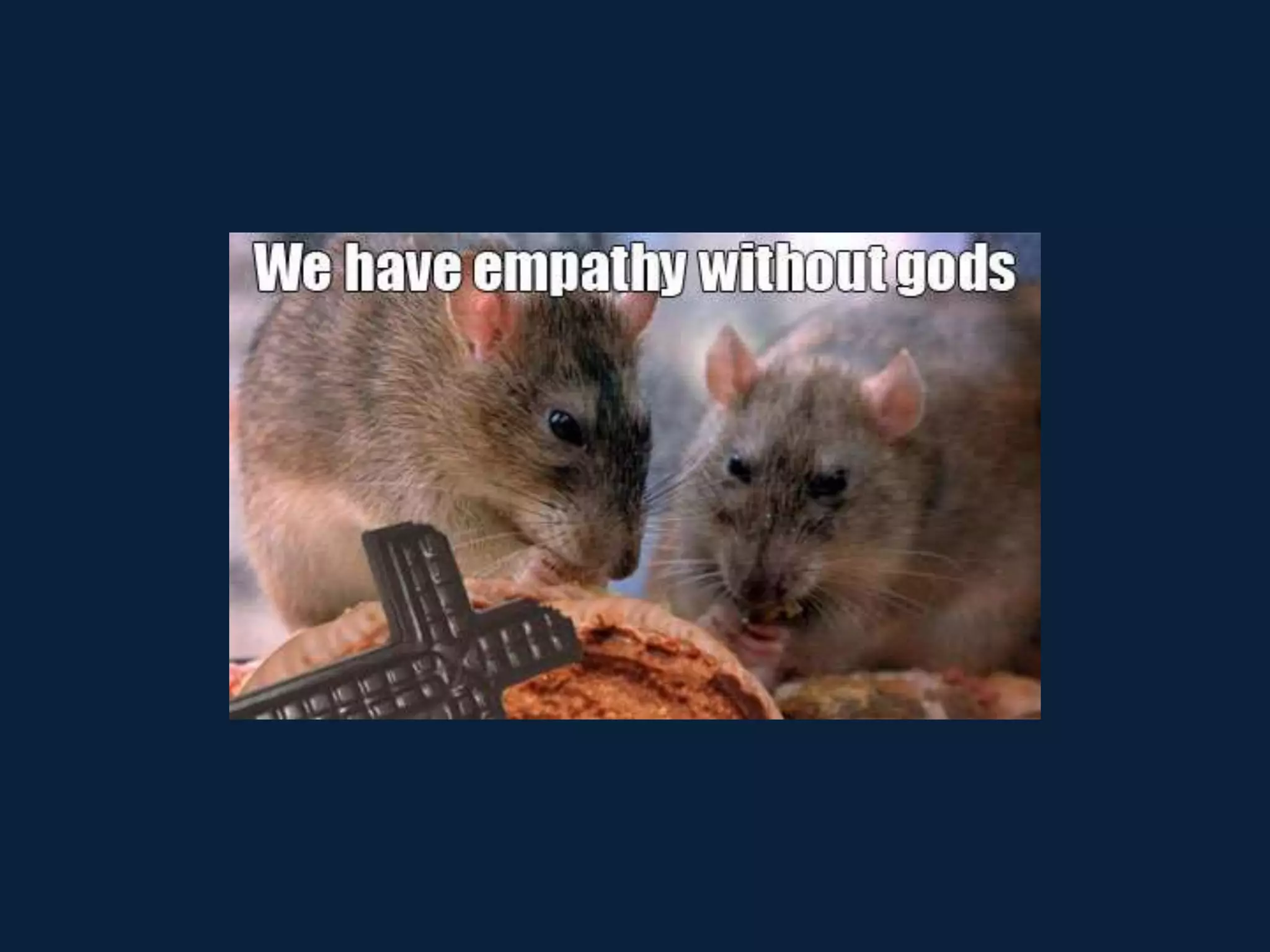 Empathy and Pro-Social Behavior in Rats | PPTX
