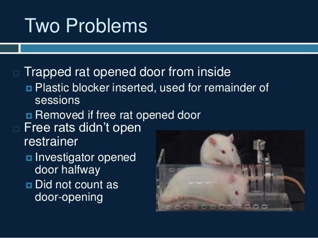 Empathy and Pro-Social Behavior in Rats