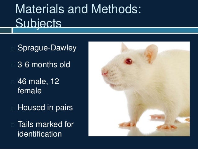 Empathy and Pro-Social Behavior in Rats