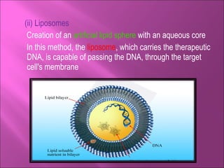 gene therapy. | PPT