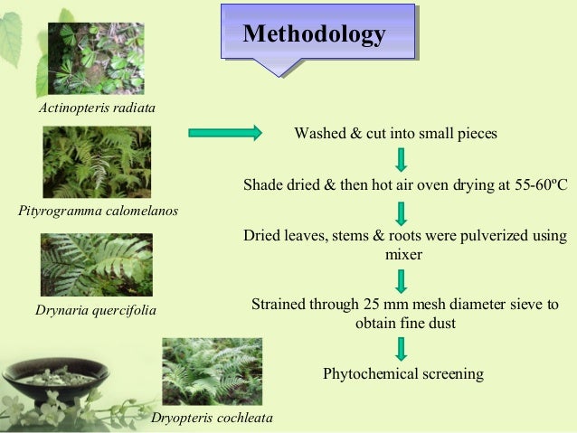 Extraction and phytochemical analysis of medicinal plants