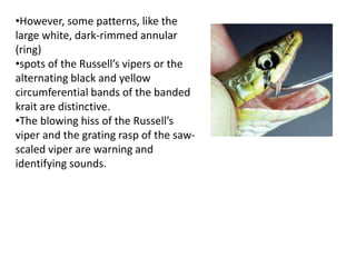 VIPER SNAKE BITE SEMINAR AND ANTIVENOM TREATMENT | PPTX