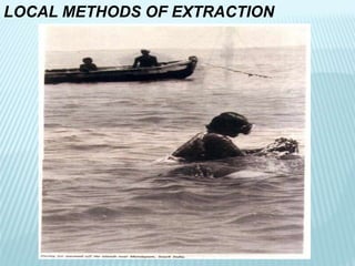 Extraction of agarose from seaweeds | PPTX