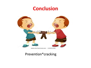 Software Protection Techniques | PPTX