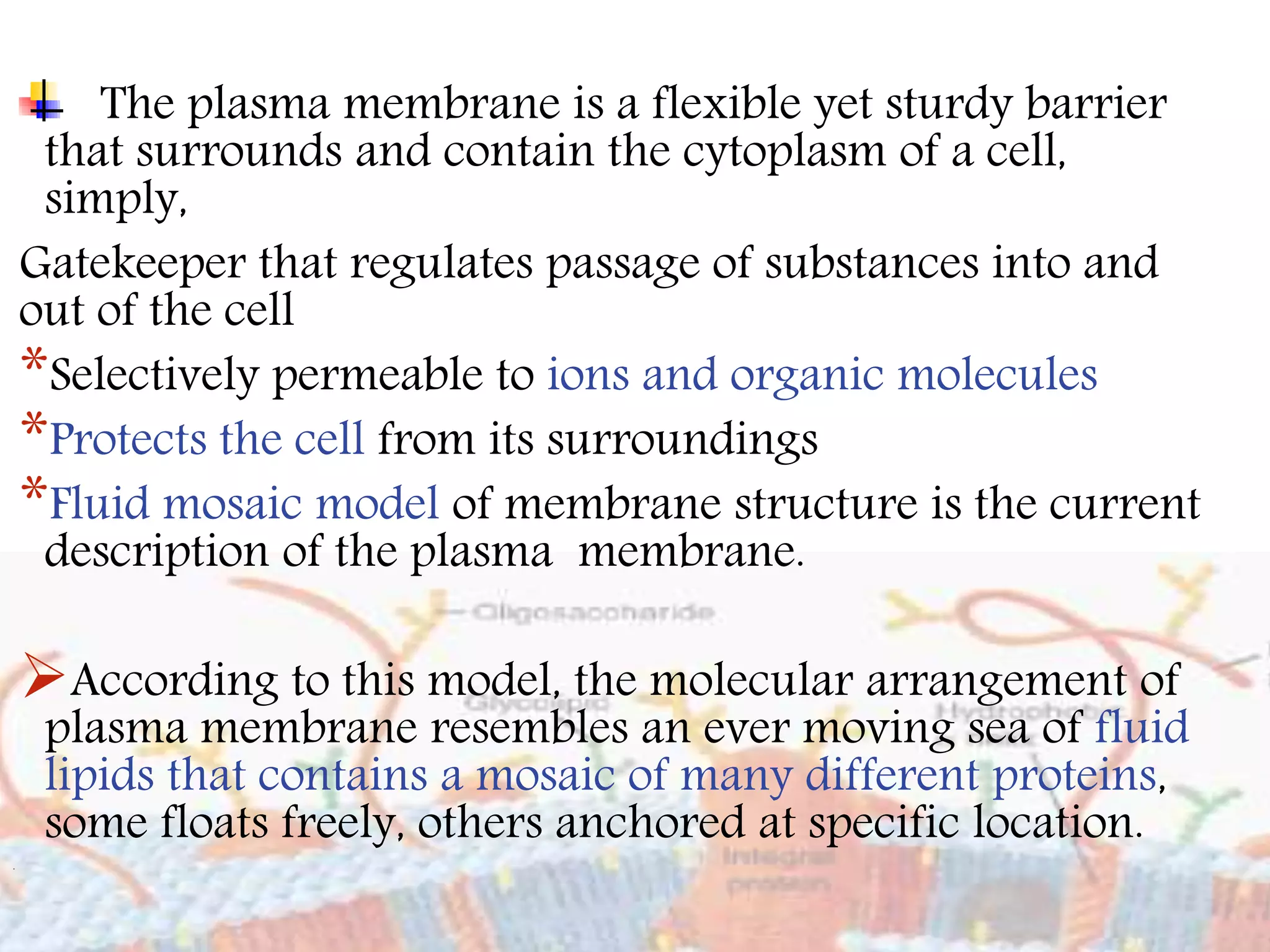 Seminar on Plasma membrane.pptx | PPTX